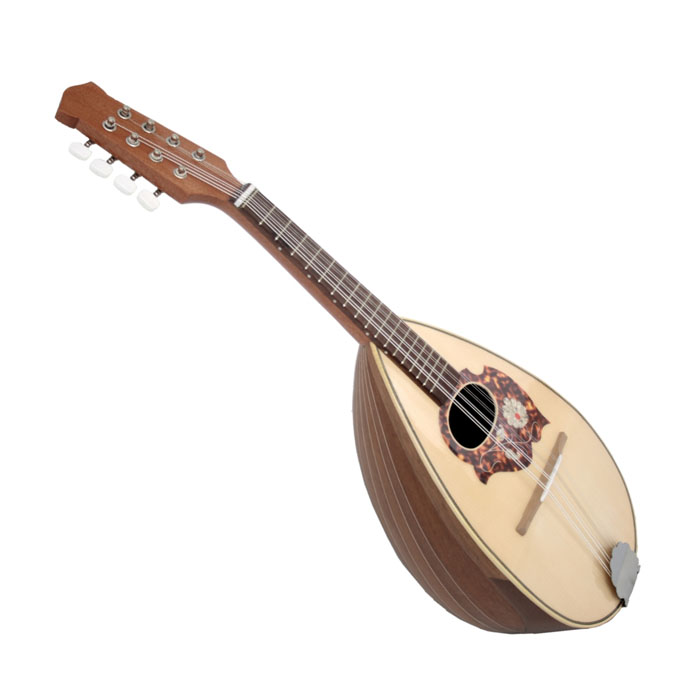 Traditional Naples Mandolin - Mandolins